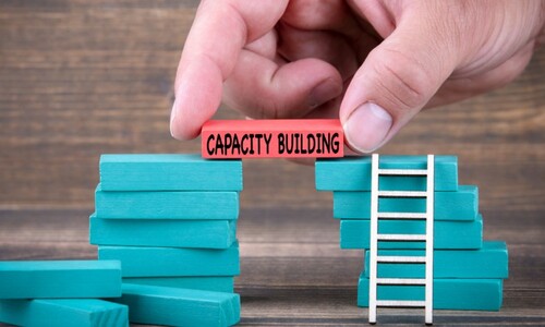 An Overview of the Building Blocks Capacity Building Grants