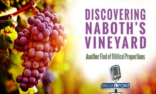 Discovering Naboth’s Vineyard: Another Find of Biblical Proportions